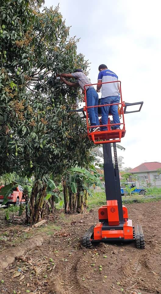 Philmech-Kamico Multi-Purpose Lifting Machine Project - FitCorea ...